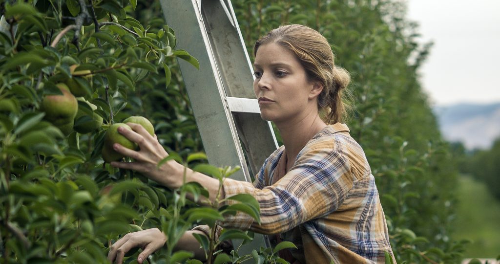 The Story - July Rising