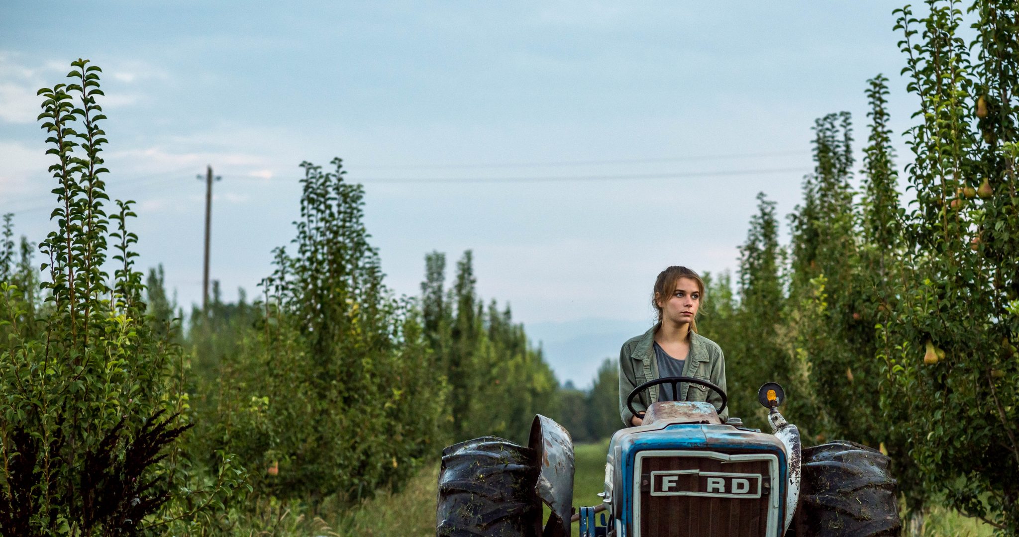 The Story - July Rising